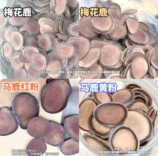 鹿茸片多少钱一克_鹿茸片真假怎么辨别-第1张图片-山城妙识