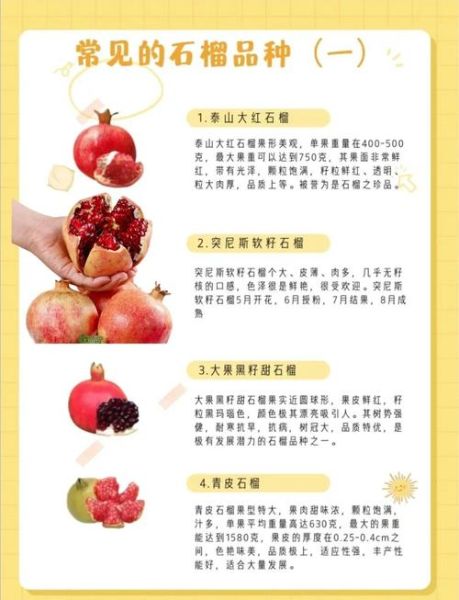 石榴的功效与作用有哪些_吃石榴能减肥吗-第1张图片-山城妙识