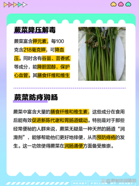蕨菜致癌是真的吗_蕨菜致癌科学依据-第3张图片-山城妙识