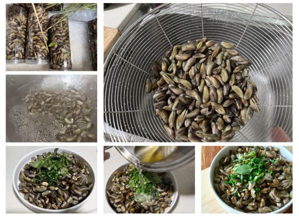 潮汕海瓜子怎么清洗_潮汕海瓜子怎么炒才鲜-第1张图片-山城妙识