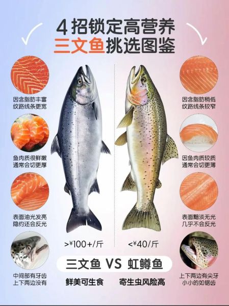 虹鳟鱼多少钱一斤_虹鳟鱼价格为什么差距大-第3张图片-山城妙识 虹鳟鱼多少钱一斤_虹鳟鱼价格为什么差距大-第3张图片-山城妙识