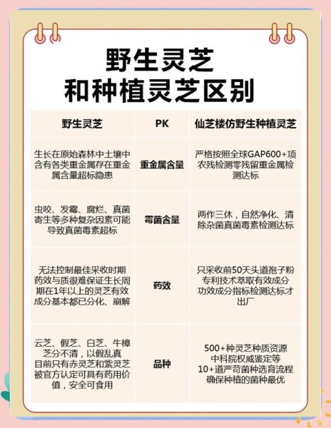 野生灵芝长什么样子_如何辨别真假野生灵芝-第1张图片-山城妙识