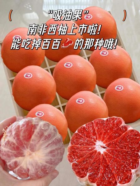 西柚英语怎么样_西柚英语靠谱吗-第2张图片-山城妙识 西柚英语怎么样_西柚英语靠谱吗-第2张图片-山城妙识