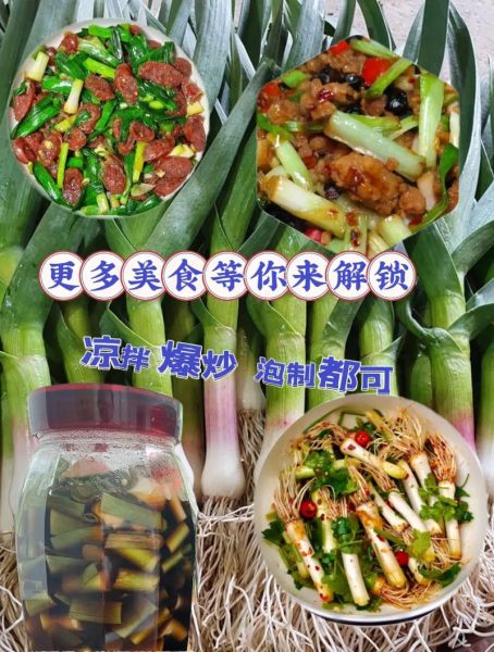 红蒜苗图片怎么拍_红蒜苗和青蒜苗区别-第3张图片-山城妙识