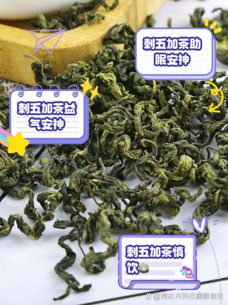 刺五加茶的功效与作用及禁忌_适合什么人喝-第2张图片-山城妙识