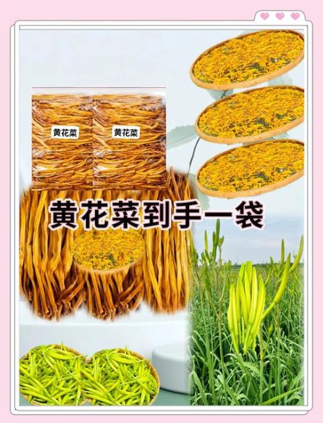吃干黄花菜的好处和坏处_干黄花菜怎么吃最安全-第3张图片-山城妙识