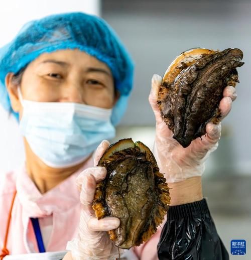 超大大鲍鱼怎么吃_超大大鲍鱼怎么做好吃-第2张图片-山城妙识