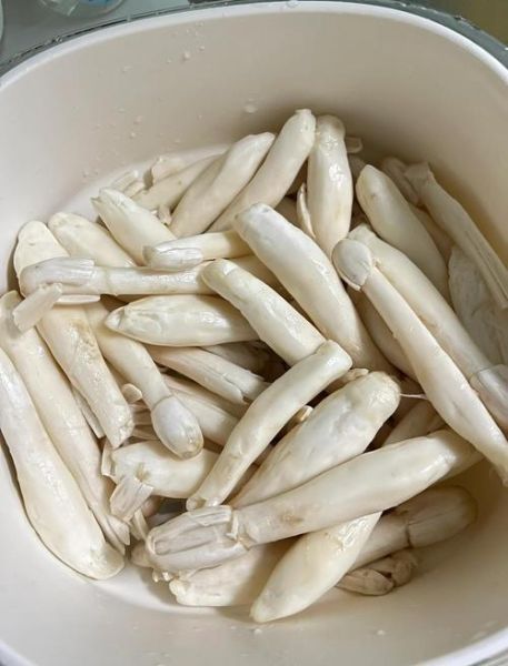 干货鸡腿菇怎么泡发_鸡腿菇干怎么做好吃-第1张图片-山城妙识