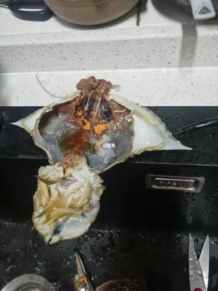 梭子蟹内脏怎么清洗_梭子蟹清洗图解步骤-第2张图片-山城妙识