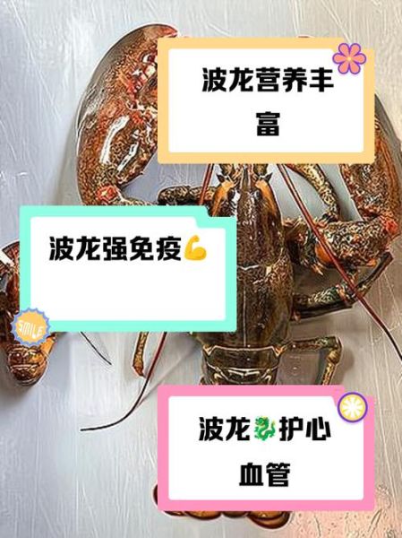 波龙贵还是澳龙贵_价格差异与选购指南-第2张图片-山城妙识