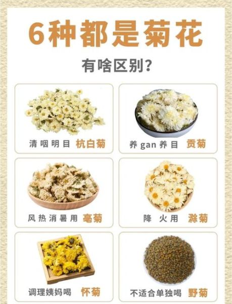 贡菊的功效区别_贡菊和杭菊哪个好-第1张图片-山城妙识