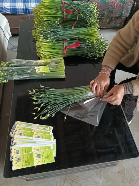 韭苔怎么保存_韭苔和韭菜的区别-第3张图片-山城妙识 韭苔怎么保存_韭苔和韭菜的区别-第3张图片-山城妙识