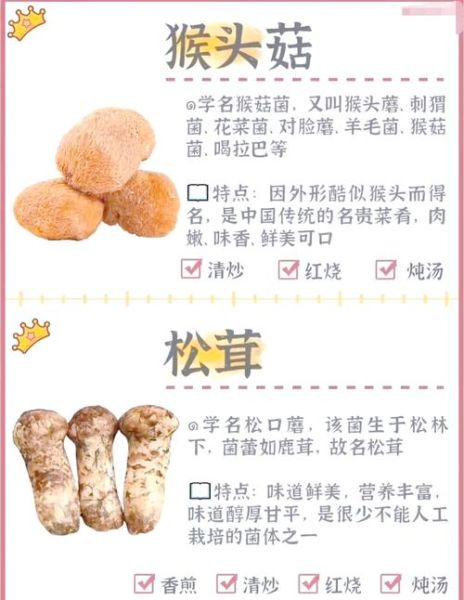 袖珍菇的功效与作用_袖珍菇怎么吃最营养-第3张图片-山城妙识