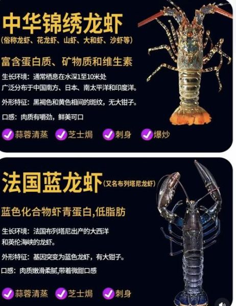 中华锦绣龙虾养殖技术_中华锦绣龙虾养殖条件-第1张图片-山城妙识