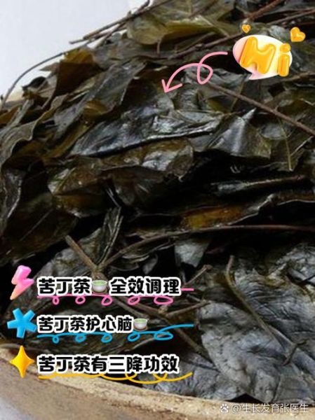 苦丁茶的功效与作用_苦丁茶能治什么病-第3张图片-山城妙识 苦丁茶的功效与作用_苦丁茶能治什么病-第3张图片-山城妙识