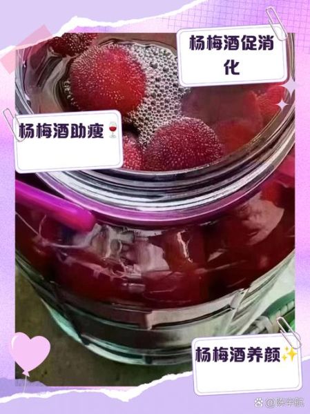 杨梅酿酒的方法_杨梅酒要泡多久才能喝-第3张图片-山城妙识