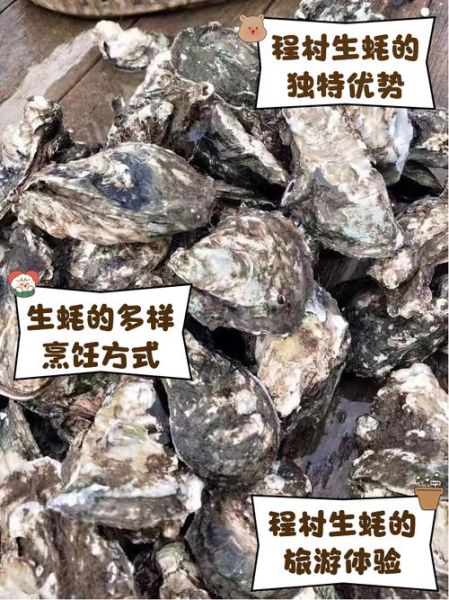 生蚝批发商联系方式_如何找到靠谱供应商-第2张图片-山城妙识