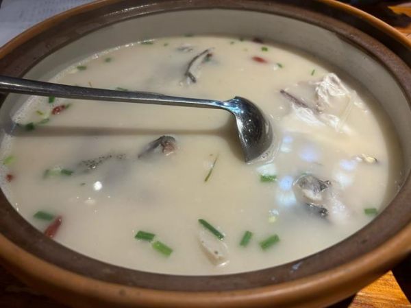 鳙鱼头汤的做法大全_鳙鱼头汤怎么做好吃又白-第3张图片-山城妙识 鳙鱼头汤的做法大全_鳙鱼头汤怎么做好吃又白-第3张图片-山城妙识