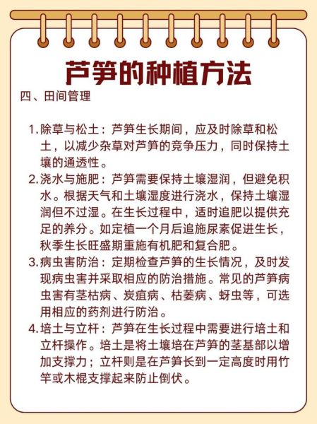 芦笋什么时候种_芦笋种植方法步骤-第1张图片-山城妙识 芦笋什么时候种_芦笋种植方法步骤-第1张图片-山城妙识