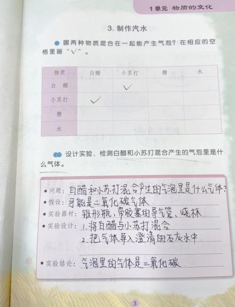 自制汽水实验报告_为什么汽水会冒泡-第1张图片-山城妙识