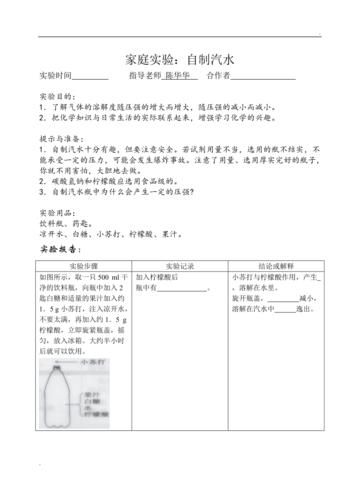 自制汽水实验报告_为什么汽水会冒泡-第2张图片-山城妙识
