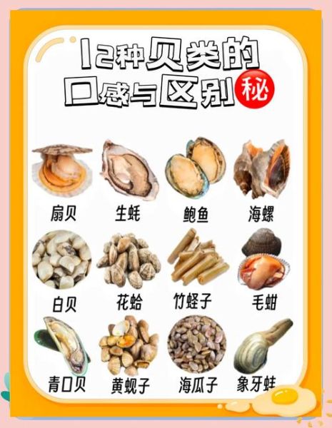 食用贝壳有哪些种类_如何挑选新鲜贝类-第2张图片-山城妙识 食用贝壳有哪些种类_如何挑选新鲜贝类-第2张图片-山城妙识