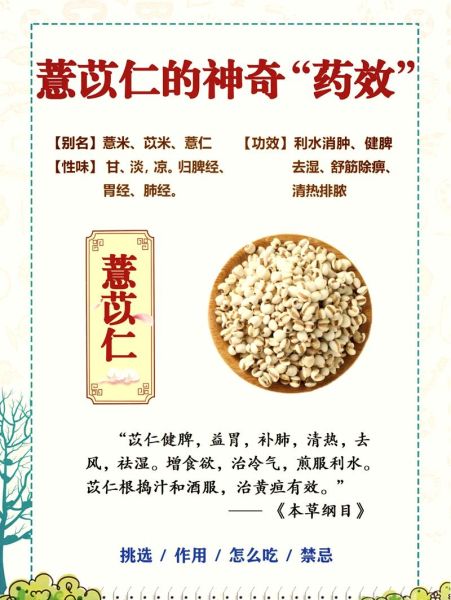 薏米仁的功效与作用及禁忌_薏米仁怎么吃才健康-第3张图片-山城妙识