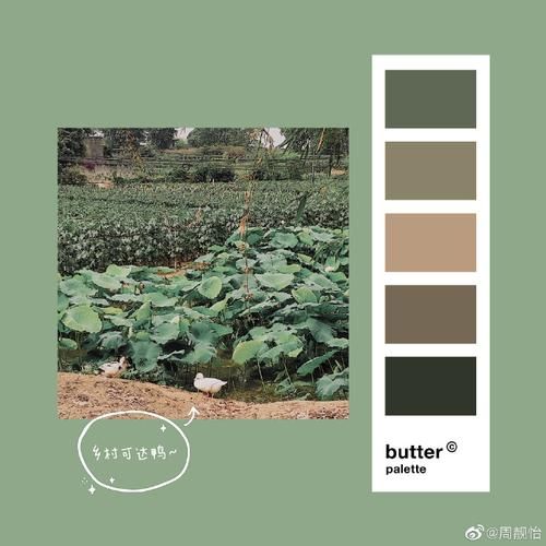 黄油相机草稿箱在哪里_怎么找回未发布作品-第3张图片-山城妙识