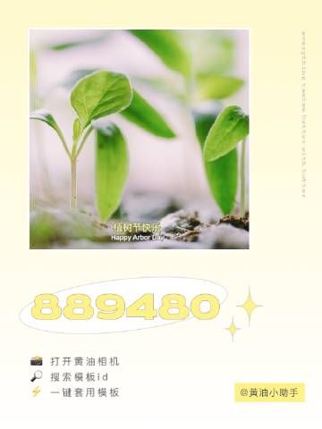 黄油相机草稿箱在哪里_怎么找回未发布作品-第1张图片-山城妙识