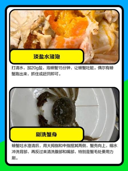螃蟹怎么清洗_螃蟹做法大全-第1张图片-山城妙识