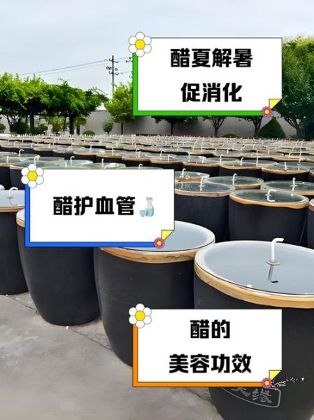 醋的功效与作用有哪些_醋能治疗哪些疾病-第2张图片-山城妙识