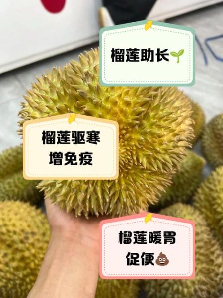 儿童吃榴莲有什么好处_小孩能吃榴莲吗-第1张图片-山城妙识