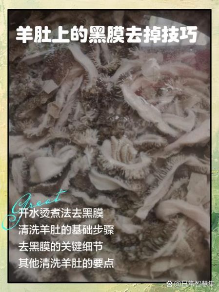 羊肚怎么洗才干净_羊肚去黑膜最快方法-第2张图片-山城妙识