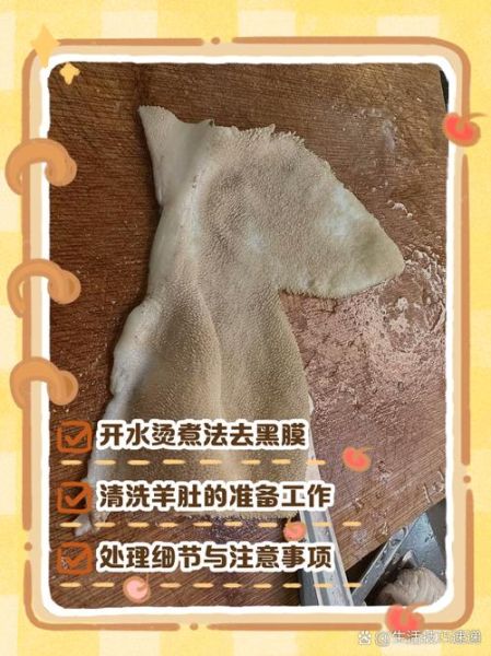 羊肚怎么洗才干净_羊肚去黑膜最快方法-第1张图片-山城妙识