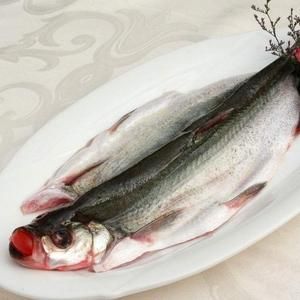 太湖三白是哪三白_太湖三白指的是什么-第3张图片-山城妙识