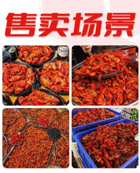 龙虾养殖技术培训_龙虾养殖技术培训多少钱-第2张图片-山城妙识