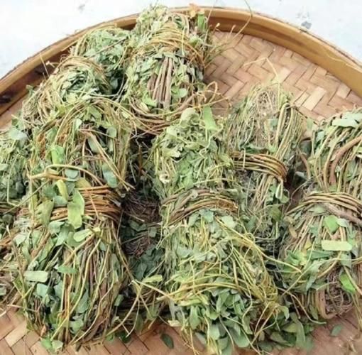解肝毒最强的草药有哪些_怎么用效果最好-第2张图片-山城妙识 解肝毒最强的草药有哪些_怎么用效果最好-第2张图片-山城妙识