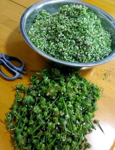 韭菜花酱怎么做才绿又好吃_韭菜花酱翠绿秘诀-第3张图片-山城妙识