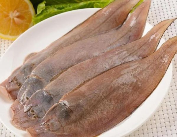 鳎目鱼多少钱一斤_鳎目鱼怎么做好吃-第2张图片-山城妙识 鳎目鱼多少钱一斤_鳎目鱼怎么做好吃-第2张图片-山城妙识