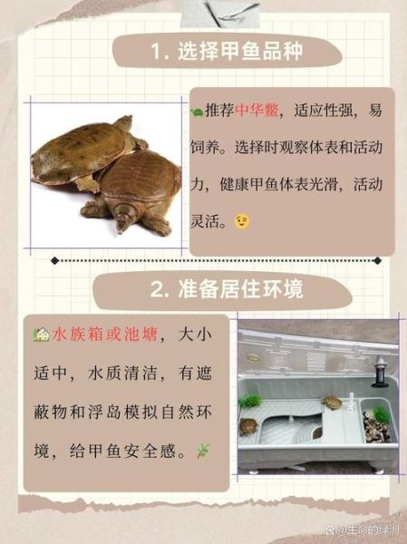 一亩养多少甲鱼_甲鱼养殖密度怎么算-第2张图片-山城妙识