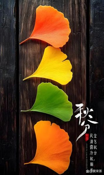 秋分是哪一天_秋分节气具体日期-第1张图片-山城妙识