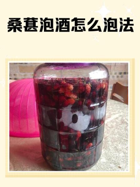 桑葚泡酒的做法大全_桑葚泡酒用什么酒好-第1张图片-山城妙识 桑葚泡酒的做法大全_桑葚泡酒用什么酒好-第1张图片-山城妙识