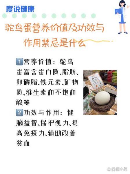 鸵鸟蛋怎么吃才好吃_鸵鸟蛋营养价值高吗-第1张图片-山城妙识