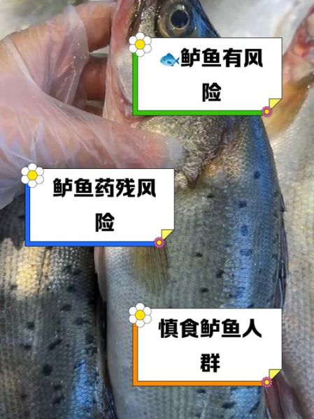 鲈鱼为何要少吃_鲈鱼吃多了有什么危害-第2张图片-山城妙识