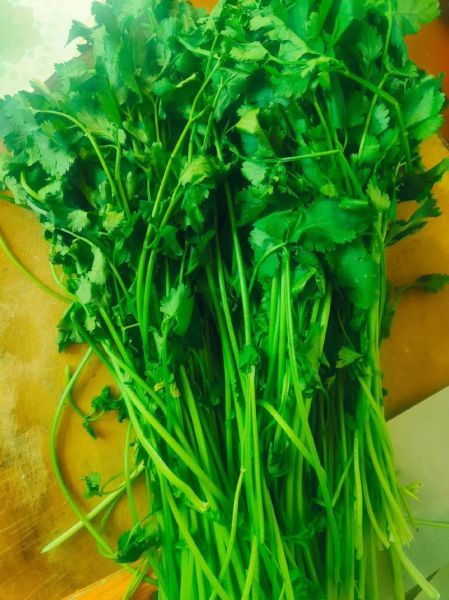 香菜牛肉饺子怎么调馅_香菜牛肉饺子馅怎么做好吃-第2张图片-山城妙识