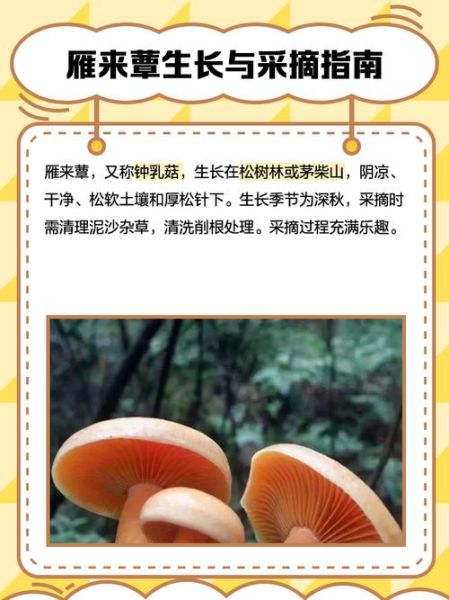 蕈怎么读_蕈是什么意思-第1张图片-山城妙识