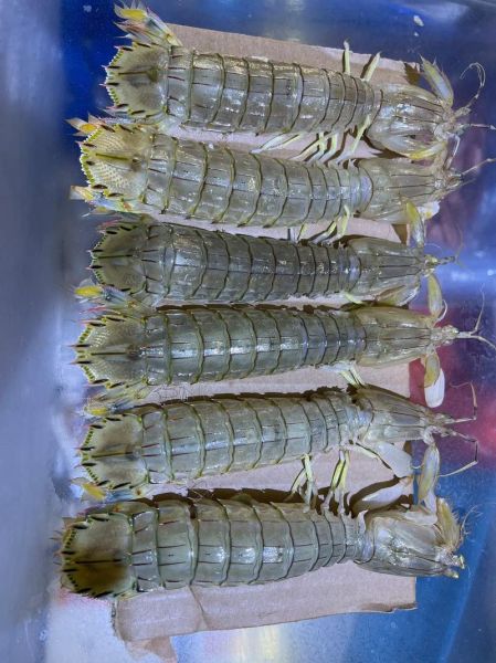 爬虾怎么做好吃_爬虾做法大全-第3张图片-山城妙识