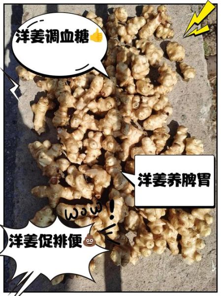 洋姜的功效与作用_洋姜的禁忌人群有哪些-第1张图片-山城妙识