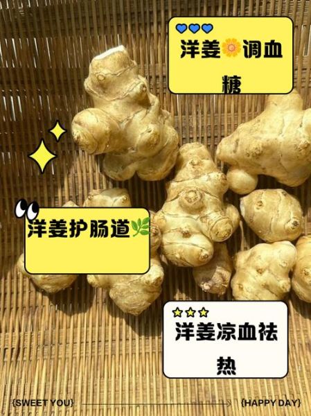 洋姜的功效与作用_洋姜的禁忌人群有哪些-第3张图片-山城妙识