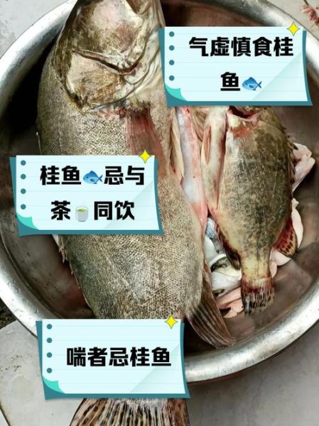 桂鱼内脏像菊花一样能吃吗_桂鱼内脏处理方法-第1张图片-山城妙识 桂鱼内脏像菊花一样能吃吗_桂鱼内脏处理方法-第1张图片-山城妙识